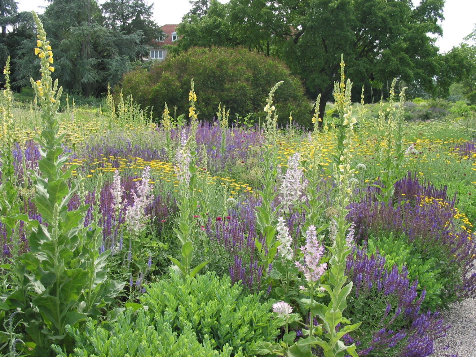 Garden Masterclass